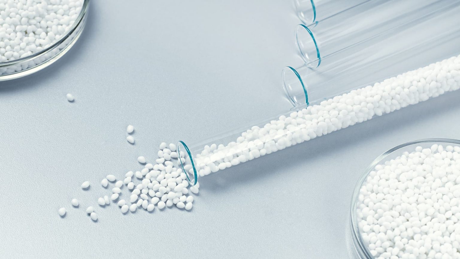 Plant biostimulants - Kisar biosolutions