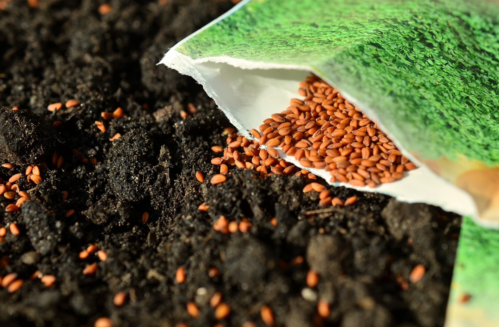 Development of seed treatment: seed coating - Kisar biosolutions